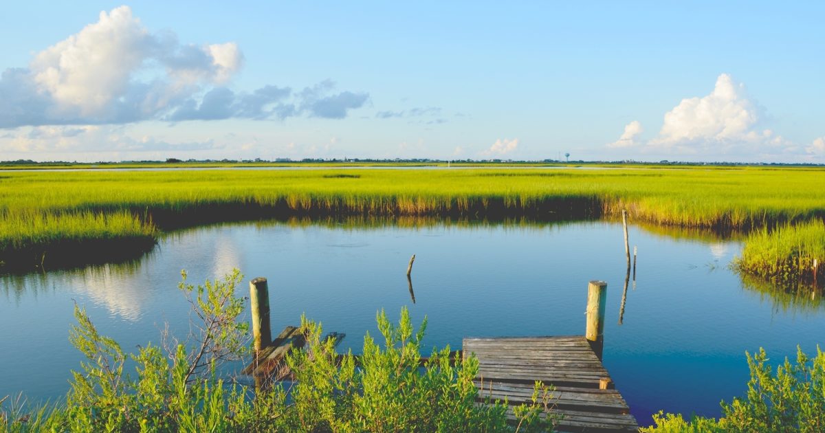 Explore Texas's Upper Gulf Coast Region | Visit Galveston