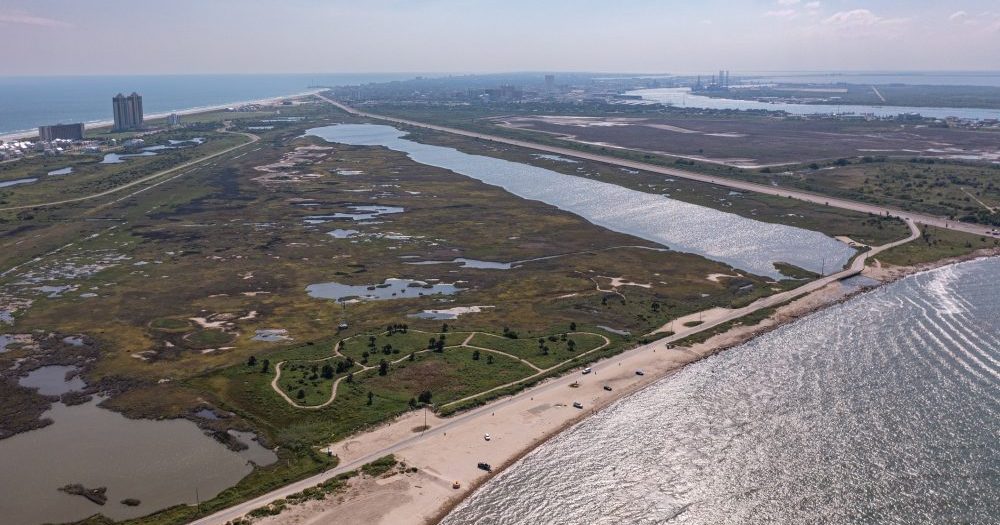 East End Lagoon Nature Outing | Visit Galveston