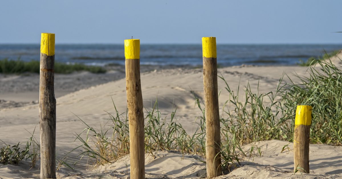 Sea Shell Beach Pocket Park 3 | Visit Galveston