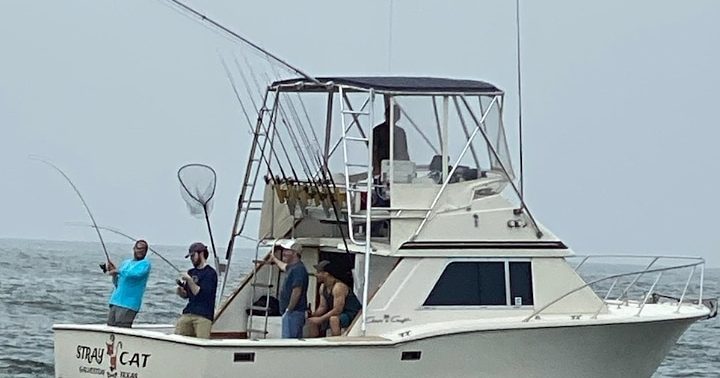 Stray Cat Fishing Charters | Visit Galveston
